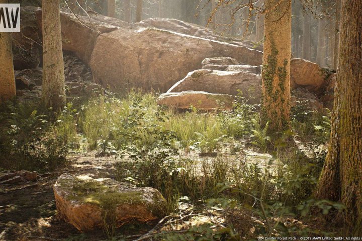 MAWI United GmbH MW Conifer Trees Forest Biome - 逼真的针叶林树木模型场景UE4资产包 - 腾龙工作室