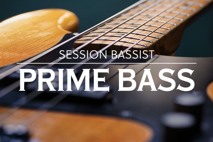 Native Instruments Session Bassist Prime Bass (KONTAKT) 经典电贝司音源 - 腾龙工作室