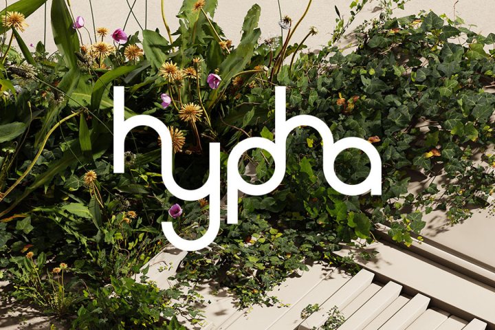 Native Instruments HYPHA (KONTAKT) 声电混合氛围合成音源 - 腾龙工作室