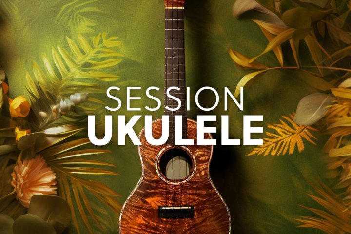 Native Instruments Session Ukulele (KONTAKT) 虚拟尤克里里音源 - 腾龙工作室